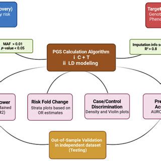 PRS Calculation Results And Validation Workflow Summary Risk Download Scientific Diagram