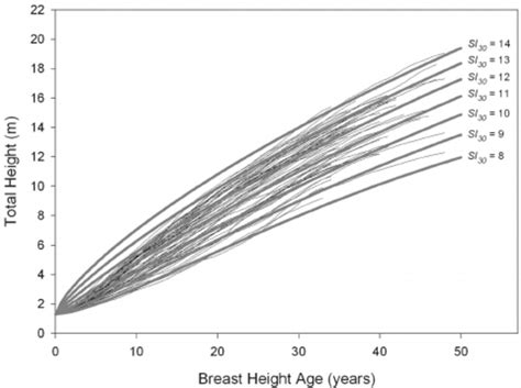 Height Growth Curves By SI For Black Spruce Plantations In Download Scientific Diagram