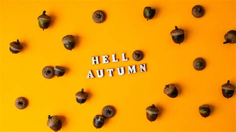 노란색 배경에 도토리가있는 비문 Hello 가을 텍스트 패턴 가을 컨셉 오크 나무 도토리의 패턴 0명에 대한 스톡 사진 및 기타 이미지 Istock