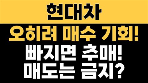 현대차 주가전망 오히려 매수 기회 빠지면 추매 매도는 금지 Youtube