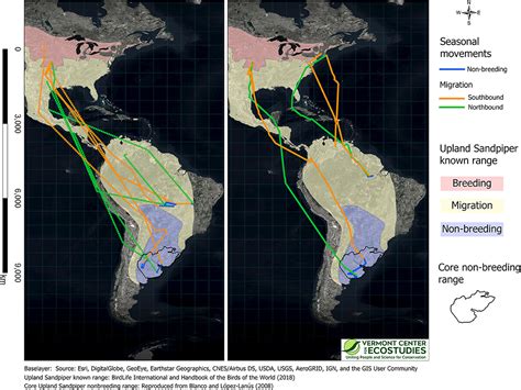 Frontiers Migration Patterns Of Upland Sandpipers In The Western