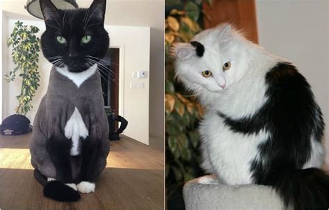 Фотография на Культурология Ру