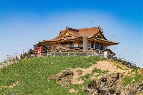 Career Options For People After Learning Python