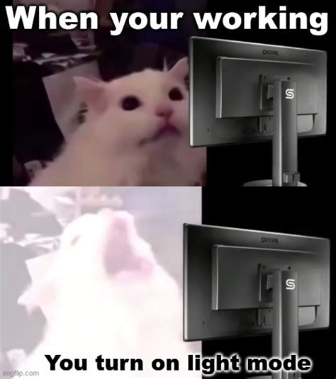 Cat V S Light Mode Imgflip