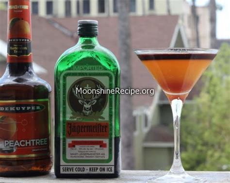 Sex On The Horizon Cocktail Recipe 2025 Moonshine Cocktail Drink Food