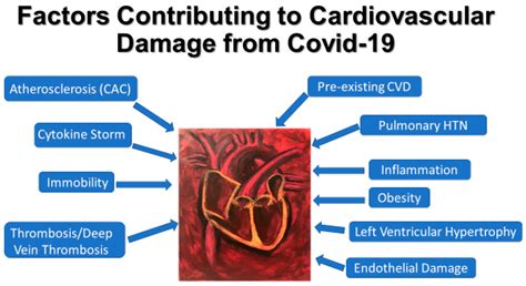 Download Baka Loader Darelodream Download Baka Loader Darelodream