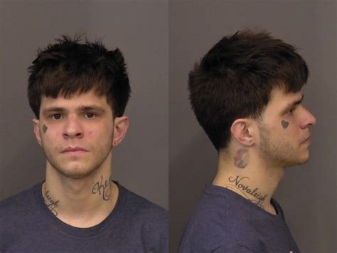 Mcdowell Tristian Pacey