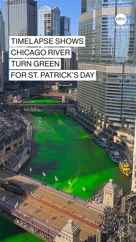 Pope Francis Death Certificate Released Live Coverage Live Coverage