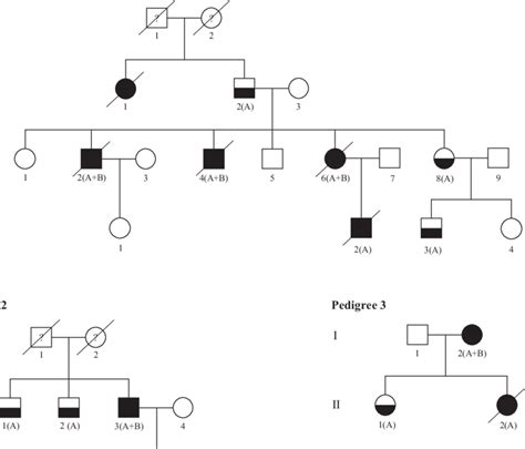 Fpd Aml Pedigrees Squares Indicate Male And Circles Indicate Female