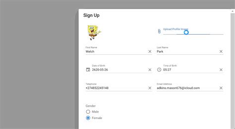 Bananovuematerial The First Complete Opensource Vuejs Ux Based Framework For Banano Page 3