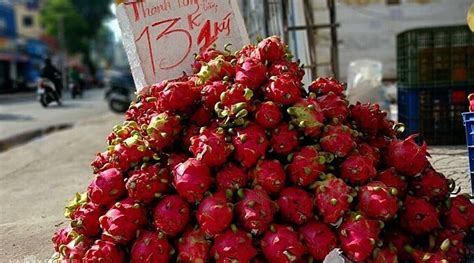 越南红肉火龙果价格遭腰斩 中国进口量下滑是主因 亚洲水果