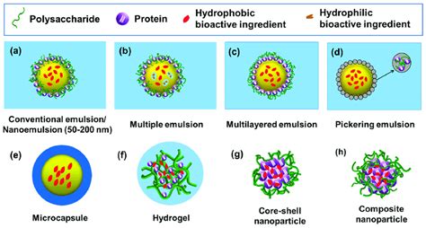Different Types Of Protein Polysaccharide Complexconjugate Based