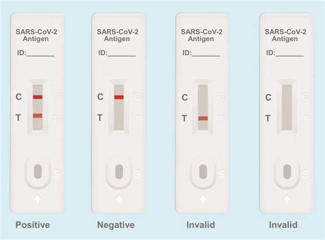Single Antigen Tests Kits Rapid Lateral Flow At Karen Kerns Blog