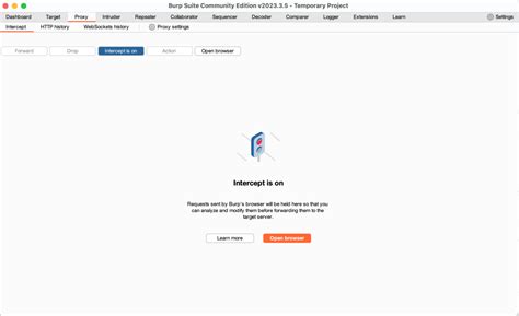 Burp Suite Woolly Hat Systems