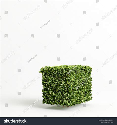 Rectangular Shrub Over 132 Royalty Free Licensable Stock Illustrations