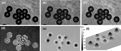 Spatially Multiplexed Interferometric Microscopy With Partially