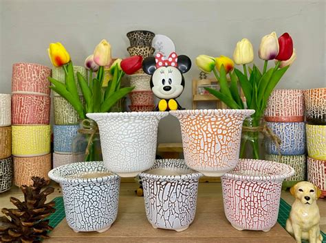 Plantlife Kt กระถางปากแตร เคลือบลาวา โทนขาว Limited