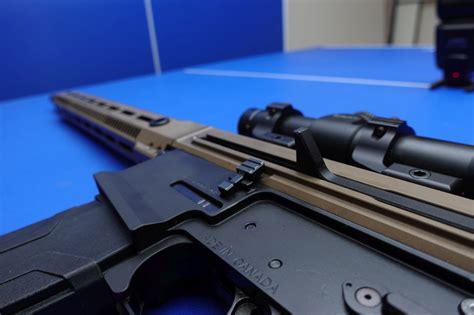 Bcl Srv2 Siberian 556 Review The Hunting Gear Guy