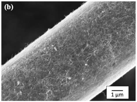 Polymers Special Issue Functional Polymer Composites Synthesis Characterization And