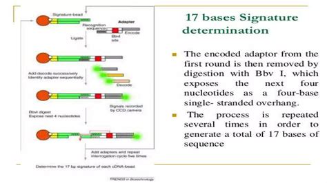 massively parallel signature sequencing mpss pptx chemistry science