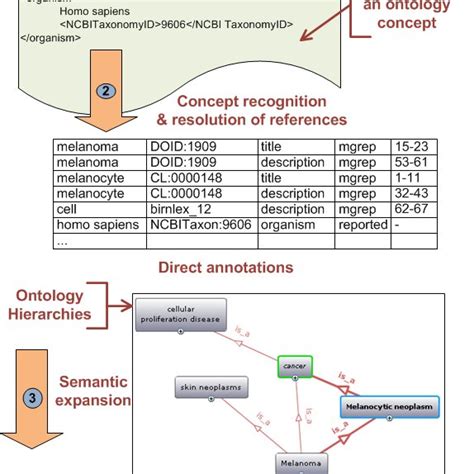 Example Of Annotations Generated For A Geo Element Direct Annotations Download Scientific