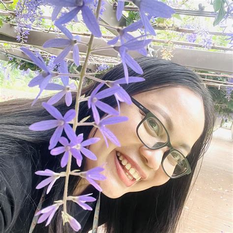 Red บริษัท รถไฟฟ้า ร ฟ ท จำกัด ผู้ให้บริการรถไฟฟ้าชานเมืองสายสีแดง ขอแจ้งตารางเดินรถประจำ วัน