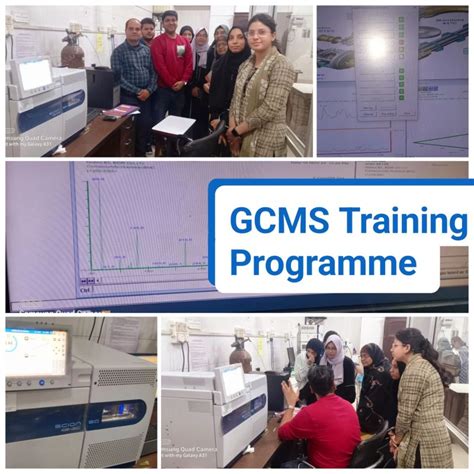 Columns Chromatography Gc Analysers Naturalgas Methane Hydrogen