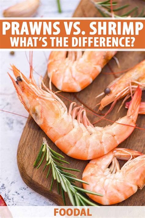 What Is Difference Between Shrimp And Prawns At Jennifer Hammes Blog