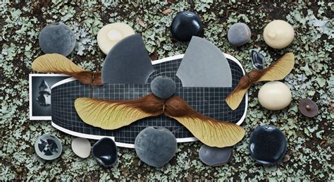 Systemic Factors → Term