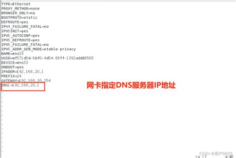 Linux系统dns解析服务及实验解析linux Dns测试 Csdn博客