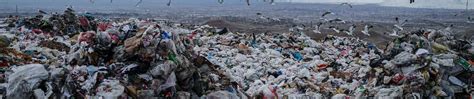 Taco Trash Dataset Kaggle