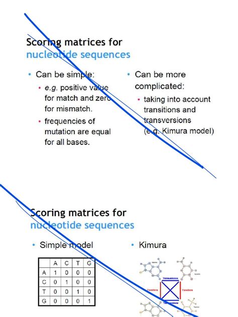 Scoring Matrix Pdf