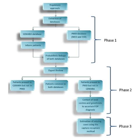 Work Flow Of Study Process Download Scientific Diagram