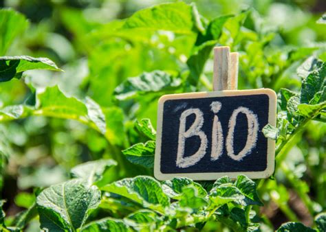 SOTO vegane und vegetarische Bio-Spezialitäten