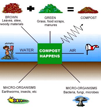 Introduction To Composting EcoMENA