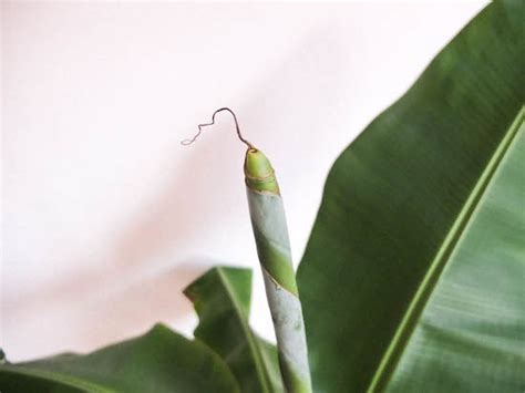 Short Fiction Smart People Talk About Sex By Lauren Oyler The Quietus