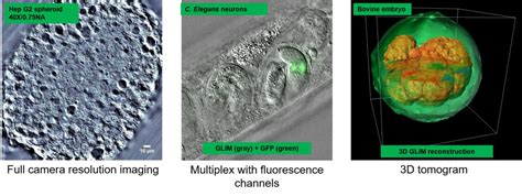 Glim Gradient Light Interference Microscopy Principles And Apps