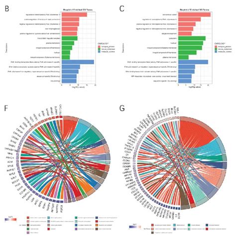 Functional Annotation And Enrichment Analysis Of Degs A D Go Download Scientific Diagram