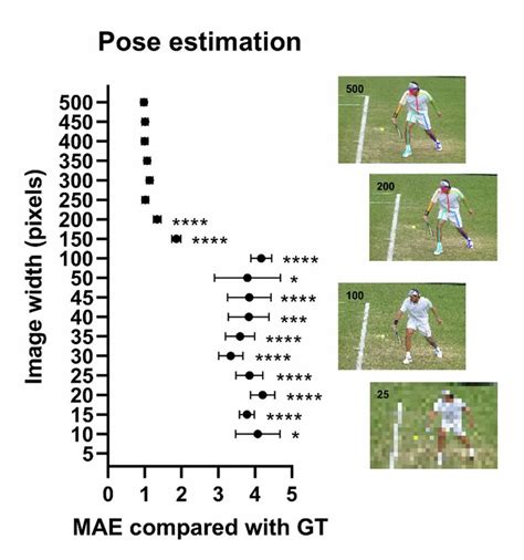 model performance in the coco body keypoint dataset as a function of
