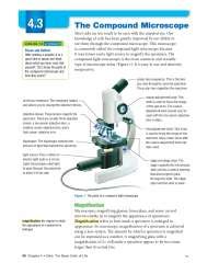The Compound Microscope Exercises Biology Docsity