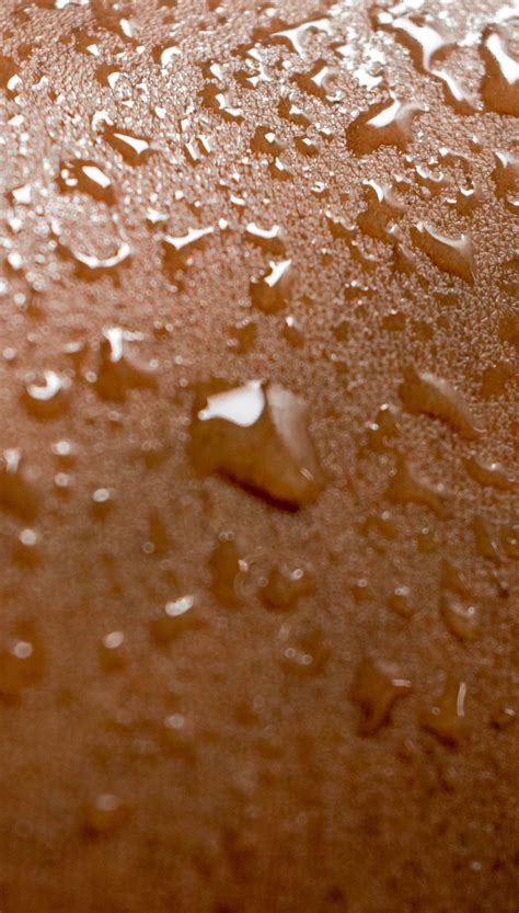 How Much Heat Can The Human Body Take Its Lower Than You Think
