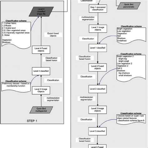 Classification Workflow Sequence Download Scientific Diagram