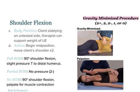 Mmt Flashcards Quizlet