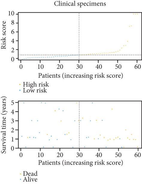 Evaluation And Validation Of The Pten Mutational Status Associated Download Scientific Diagram