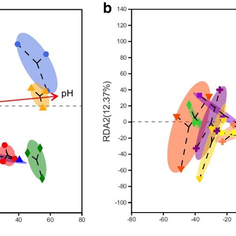 Redundancy Analysis Rda Of Bacterial Species And Environmental