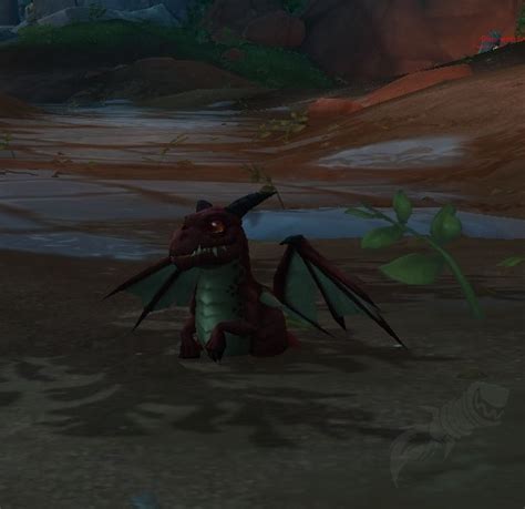 Wowhead💙 On Twitter The Ruby Whelp Shell Trinket Can Provide Massive Wowhead💙 On Twitter The Ruby Whelp Shell Trinket Can Provide Massive
