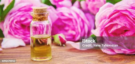 밝은 배경에 로즈의 에센셜 오일입니다 선택적 초점입니다 0명에 대한 스톡 사진 및 기타 이미지 0명 건강관리와 의술 꽃 식물 Istock