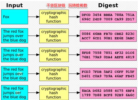 什么是hash值 经常听说的Sha 又是什么 知乎