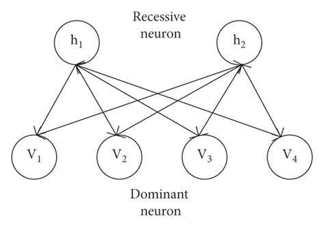 Schematic Diagram Of Rbm Structure Download Scientific Diagram