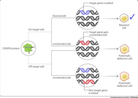 Crispr And Ethics Innovative Genomics Institute Igi